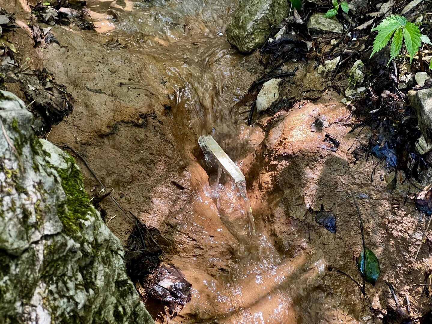 Satoさんの投稿したフィールドメモ | YAMAP / ヤマップ