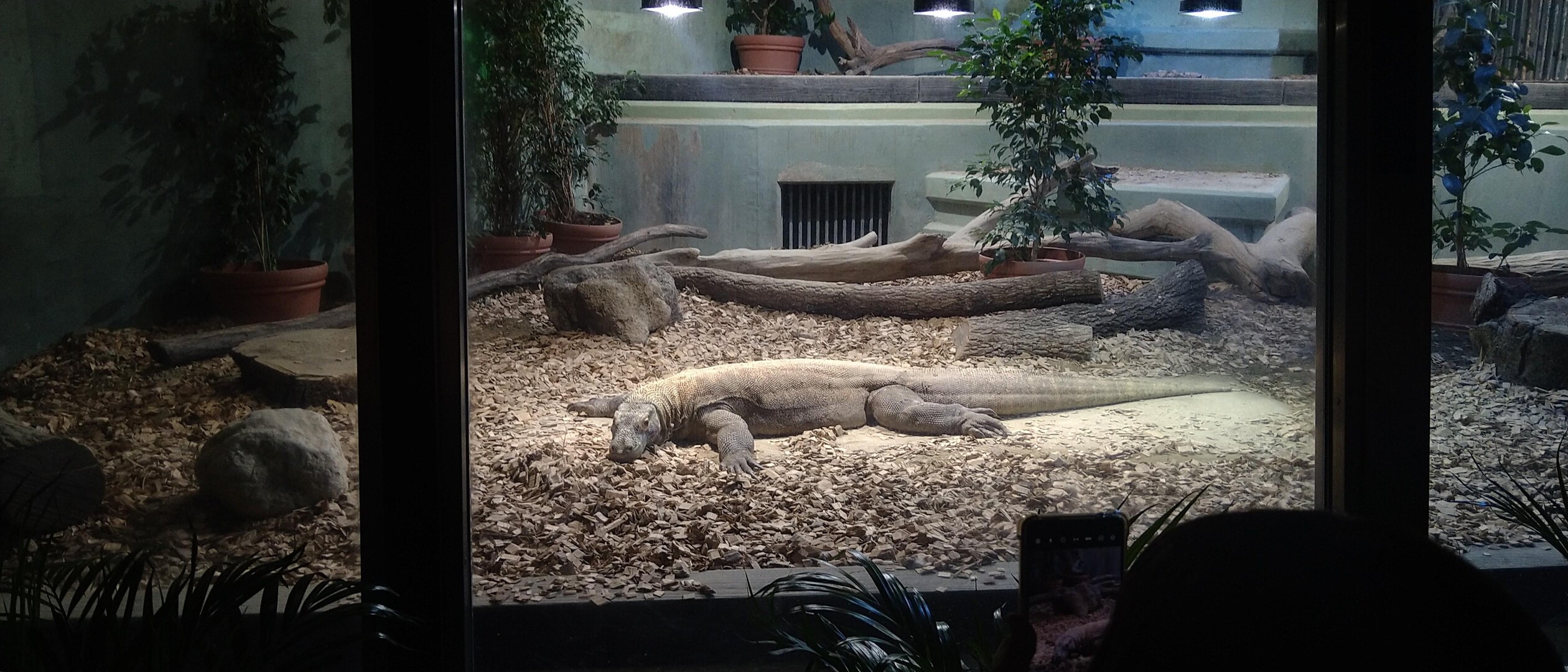 東山(一万歩コース&動植物園)2024-10-16 / K.oh-yamaさんのウォーキングの活動データ | YAMAP / ヤマップ