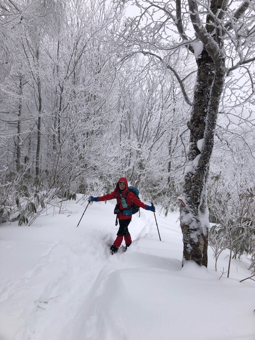 猪臥山-2020-02-09 / katomisoさんの猪臥山の活動データ | YAMAP / ヤマップ