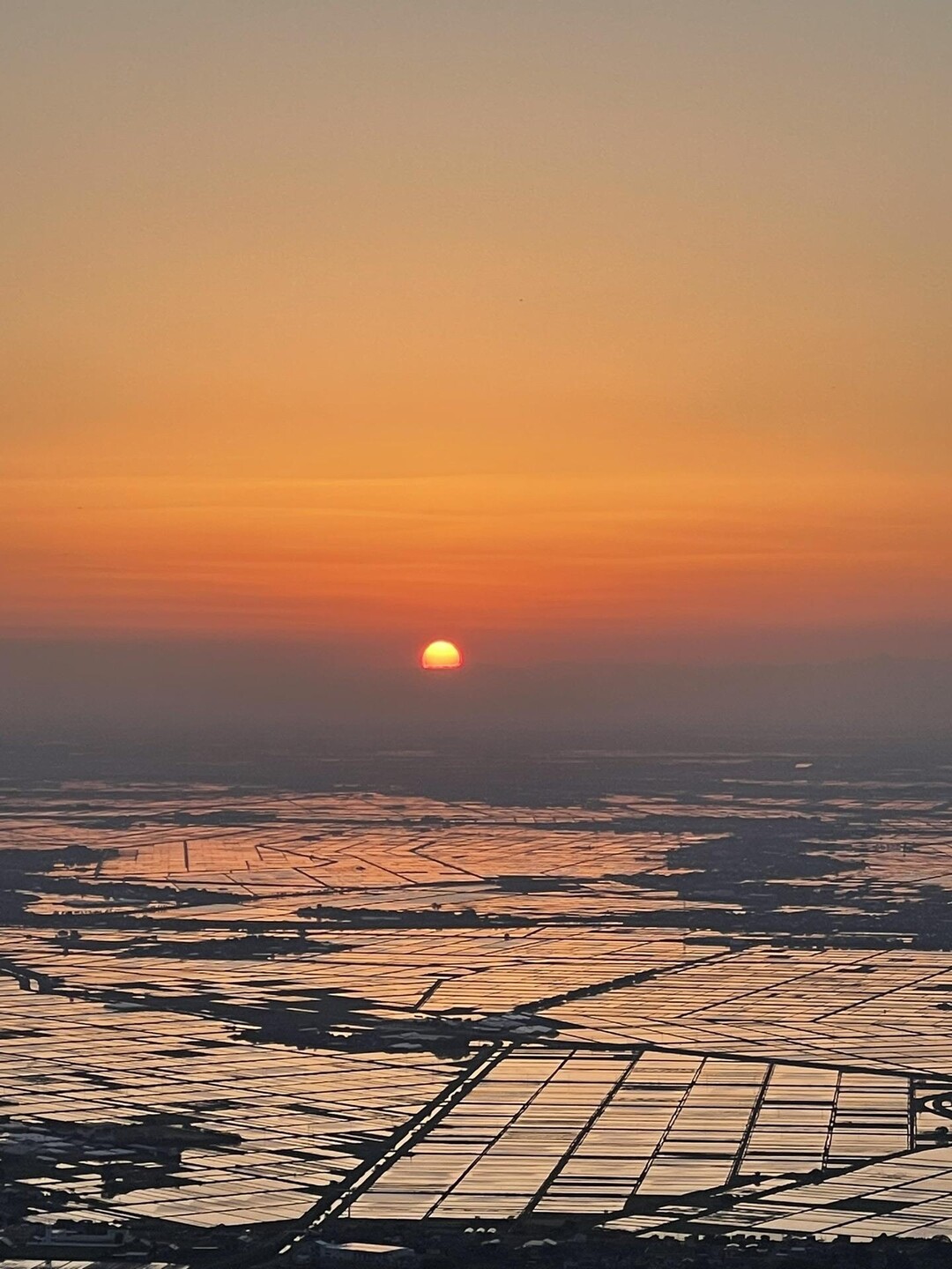 角田山（長者原山） / cococoさんの角田山の活動データ | YAMAP / ヤマップ