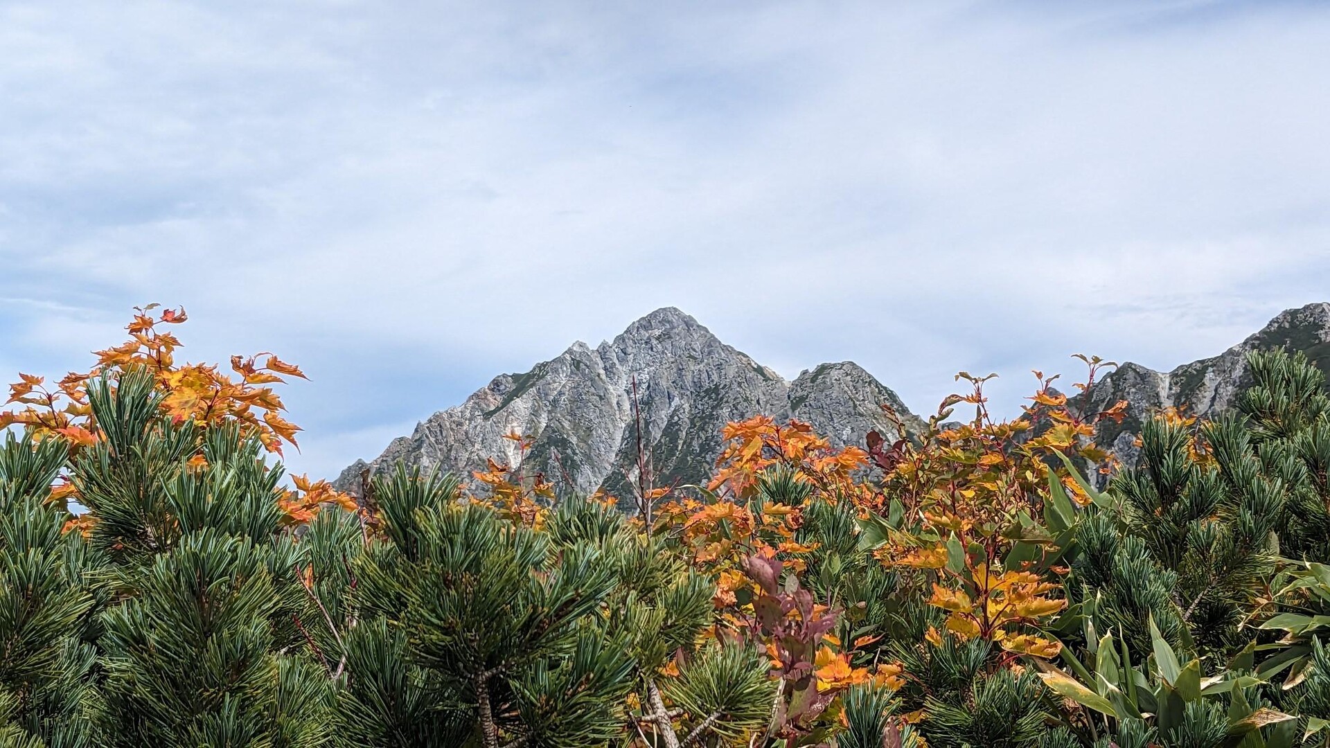 大日岳サーキット(大日岳なし) / TOM。さんの剱岳の活動データ | YAMAP / ヤマップ