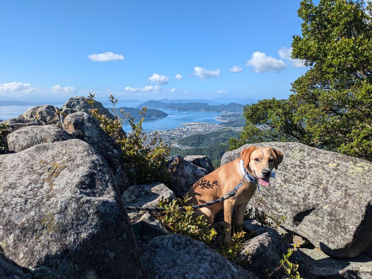 小豆島 千羽ヶ獄 / meさんの小豆島・星ヶ城山・皇踏山の活動データ | YAMAP / ヤマップ