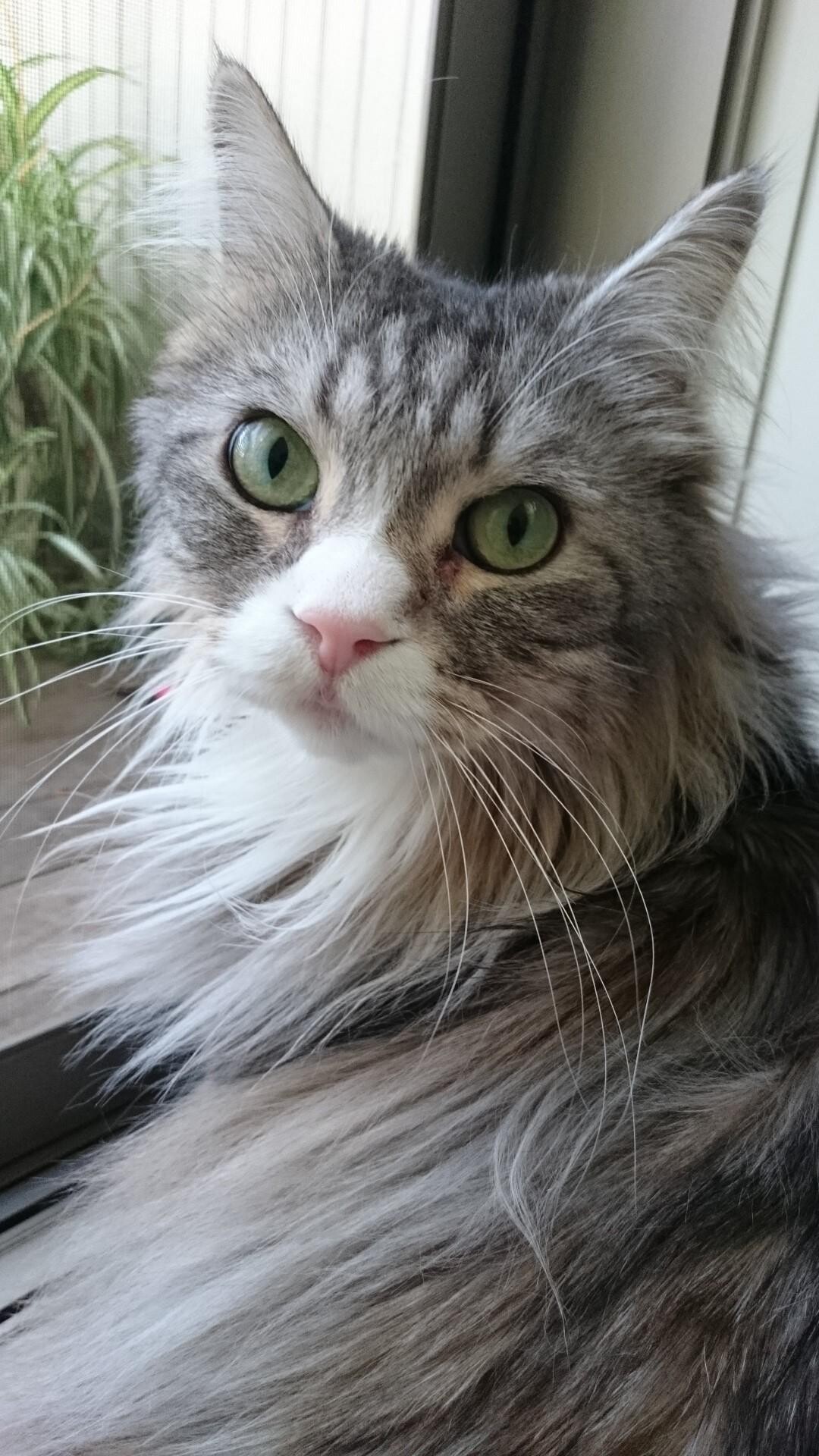 muff のページ | YAMAP / ヤマップ