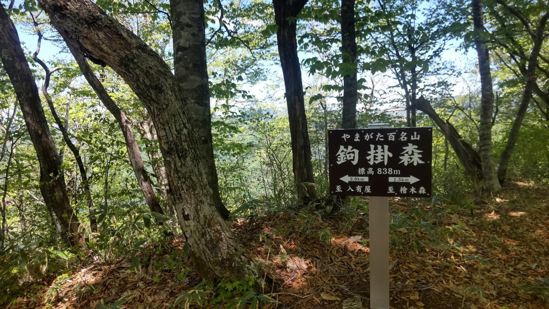 鉤掛森 / Hoz3さんの鉤掛森の活動日記 | YAMAP / ヤマップ