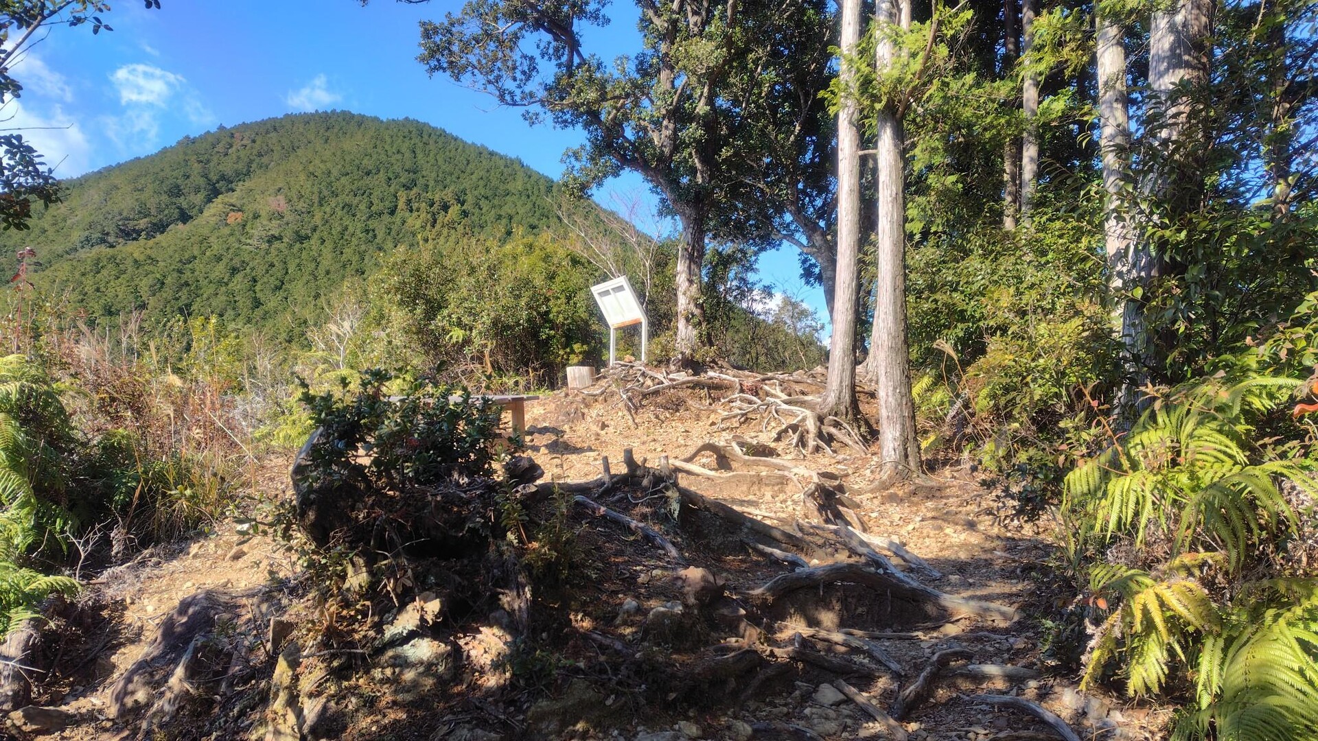 ツヅラト峠Part2（熊野古道 伊勢路③） / みちさんの熊野古道 伊勢路③の活動データ | YAMAP / ヤマップ