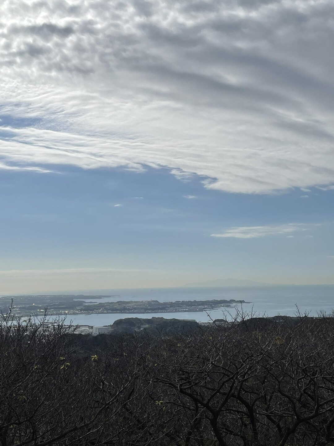 大楠山と立石海岸 / chi_sanさんの大楠山・武山・三浦富士の活動データ | YAMAP / ヤマップ