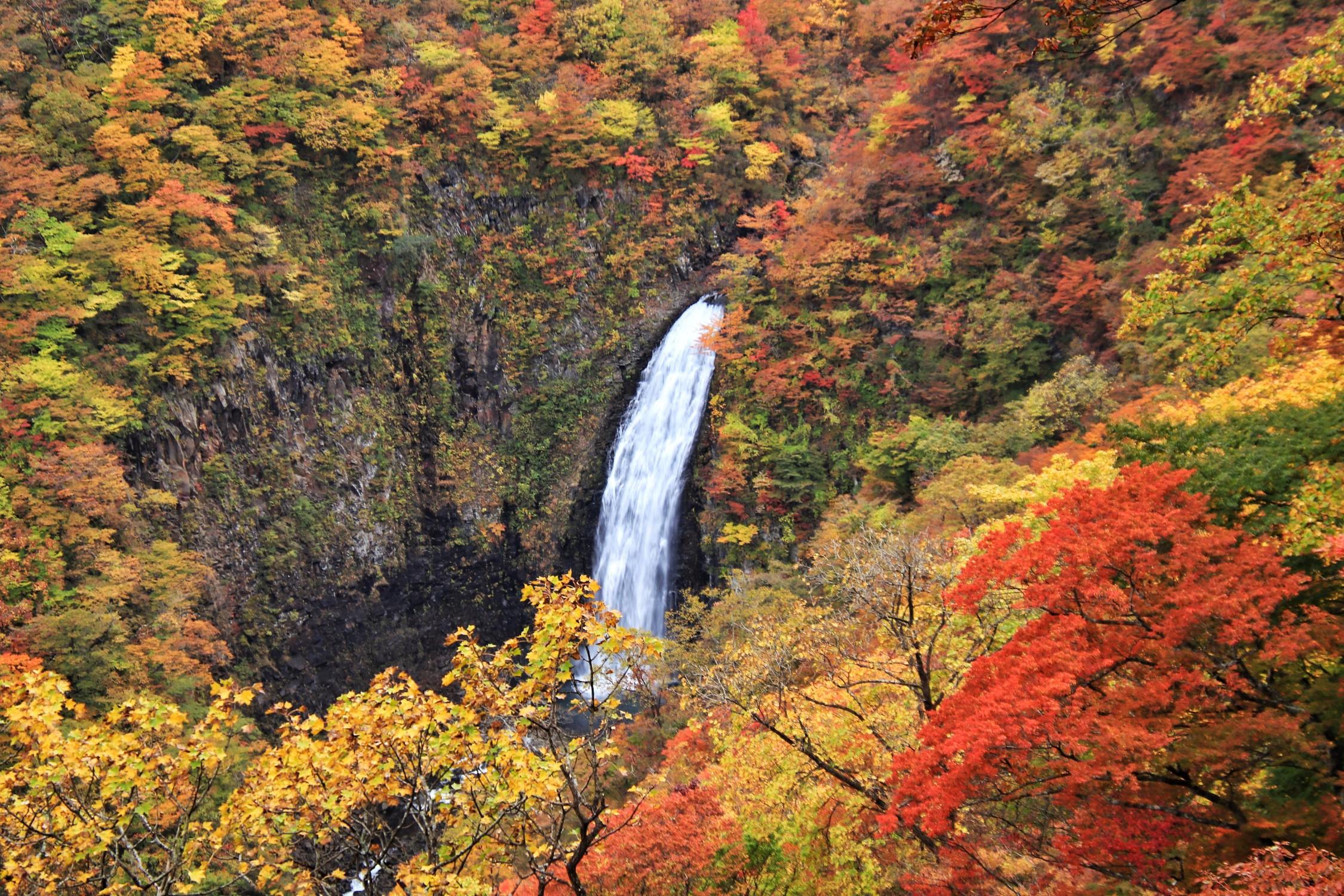 紅葉見に蔵王〜刈田岳-2023-10-25 / G-Mikiさんの蔵王山・雁戸山・不忘山の活動データ | YAMAP / ヤマップ