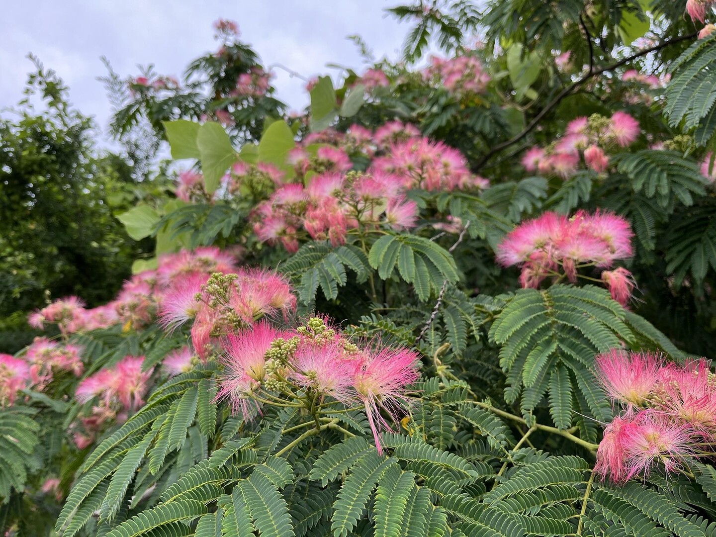 今日も暑かった.... はじめの1歩が... / kyoh-co55さんのモーメント | YAMAP / ヤマップ