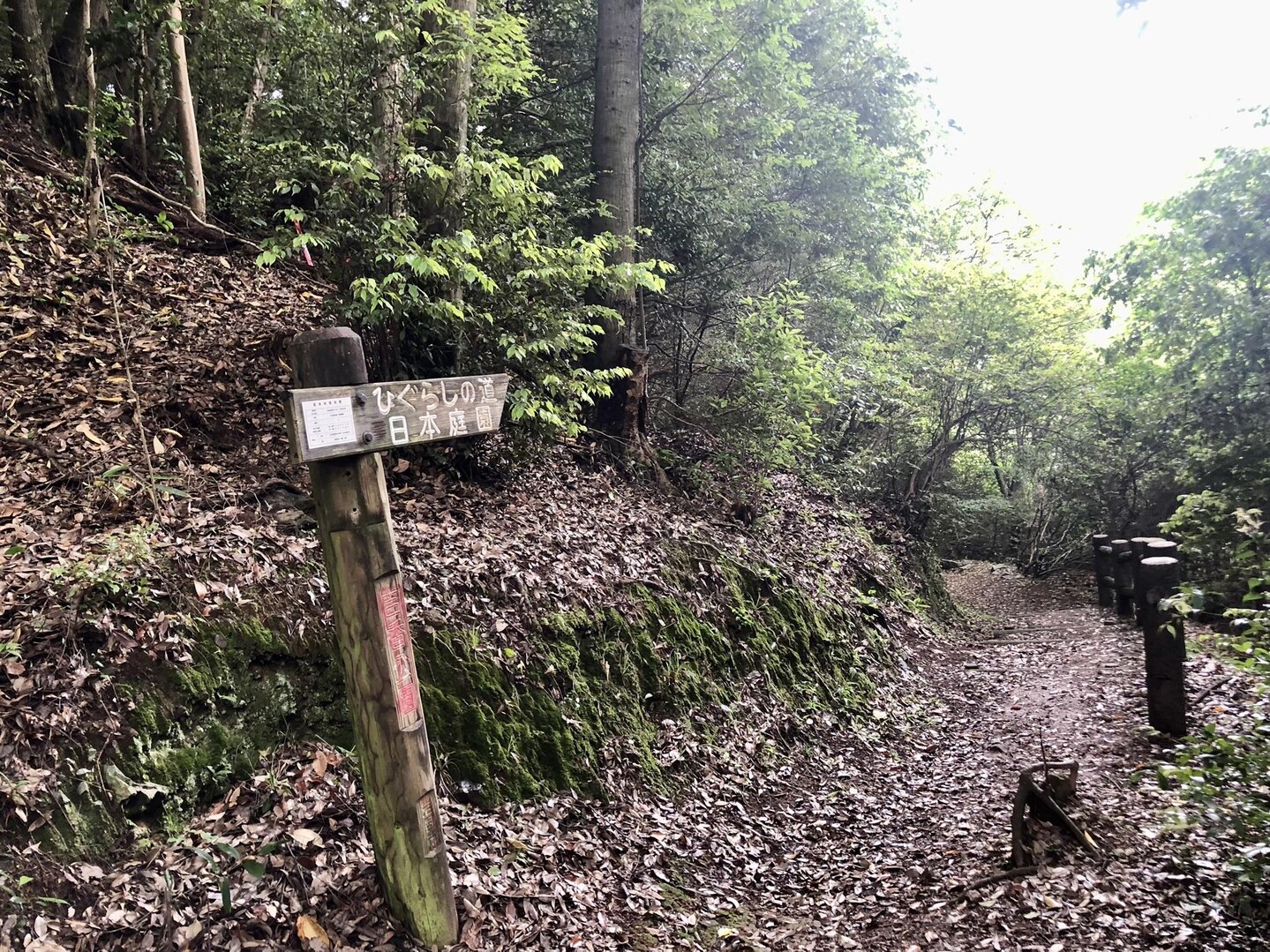 Uさんの投稿したフィールドメモ | YAMAP / ヤマップ