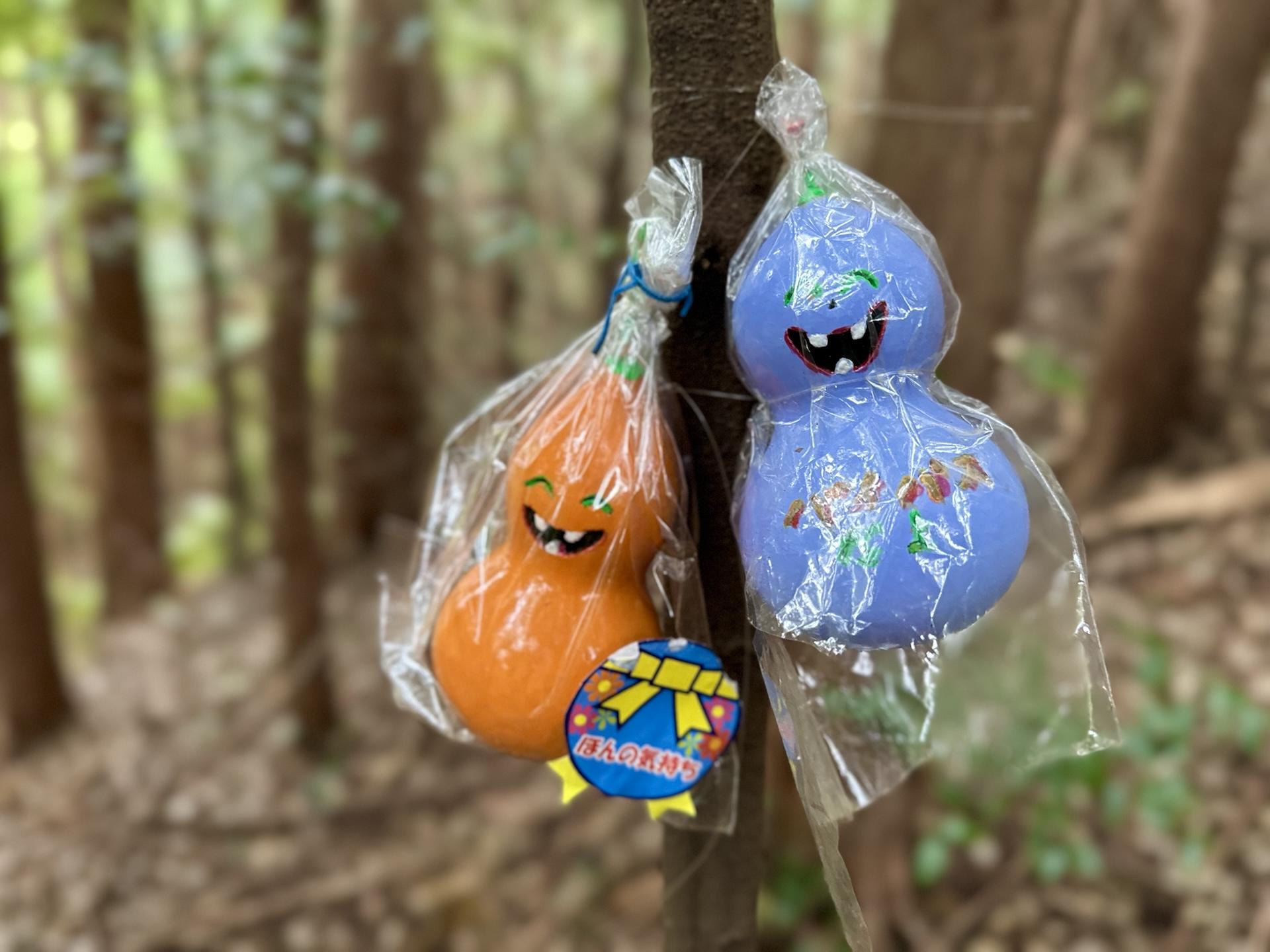 阿知ヶ谷アルプス / ako さんの千葉山・白岩寺山の活動データ | YAMAP / ヤマップ