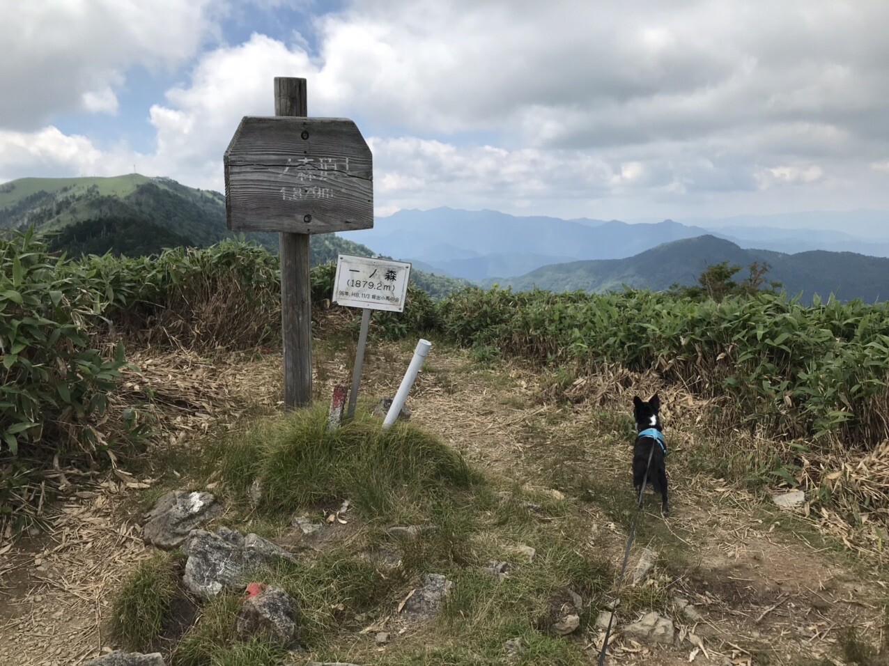 剣山 一の森2021-07-27 / horiさんの剣山の活動データ | YAMAP / ヤマップ