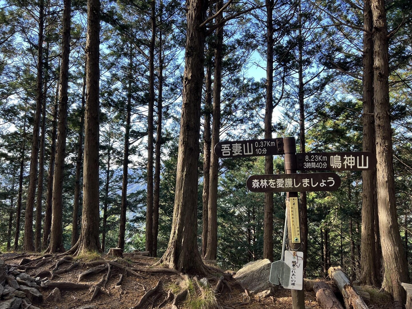 12回目のYAMAP！急遽、予定変更で近場の低山へ。 / TAKU-LOWさんの鳴神山・吾妻山の活動データ | YAMAP / ヤマップ
