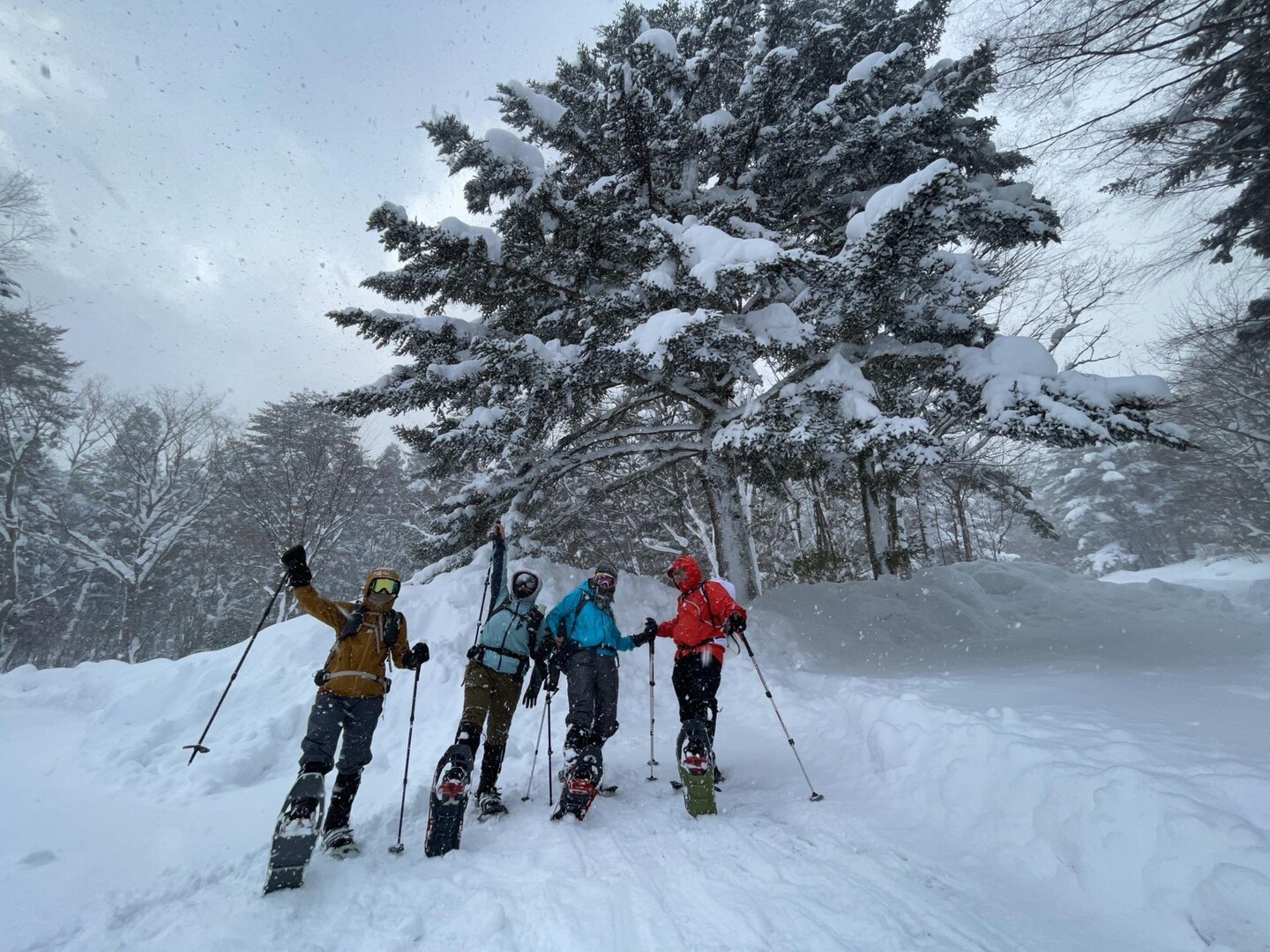 大雪ですがリベンジ💪小室井山 / kie さんの小室井山・湯来冠山の活動データ | YAMAP / ヤマップ