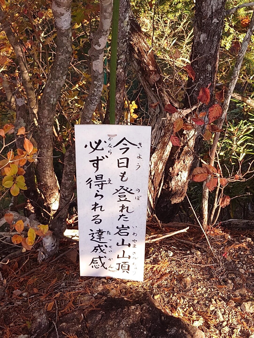 尾籠岩山 / palさんの明神山（三ツ瀬明神山）の活動日記 | YAMAP / ヤマップ
