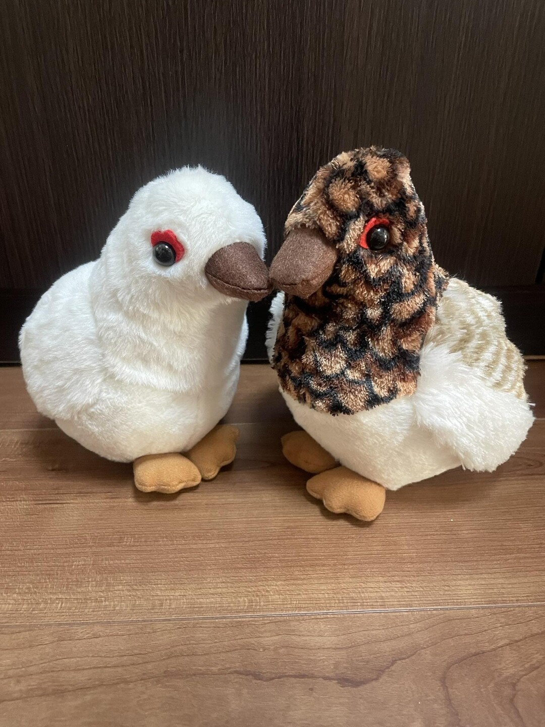 数年前に富山から連れて帰った夏バージョン... / Mariさんのモーメント | YAMAP / ヤマップ