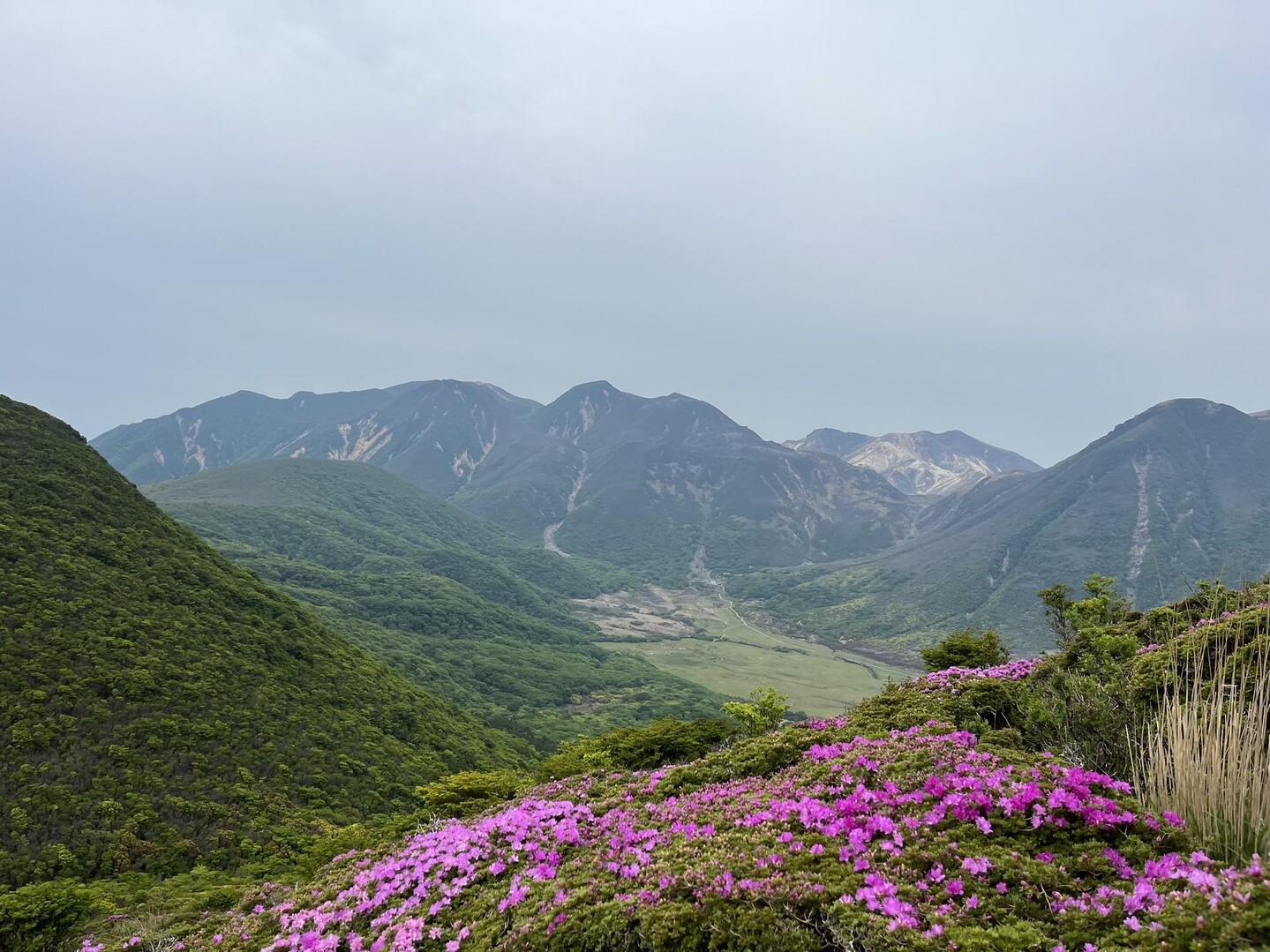 平治岳 / yokoさんの九重山（久住山）・大船山・星生山の活動データ | YAMAP / ヤマップ