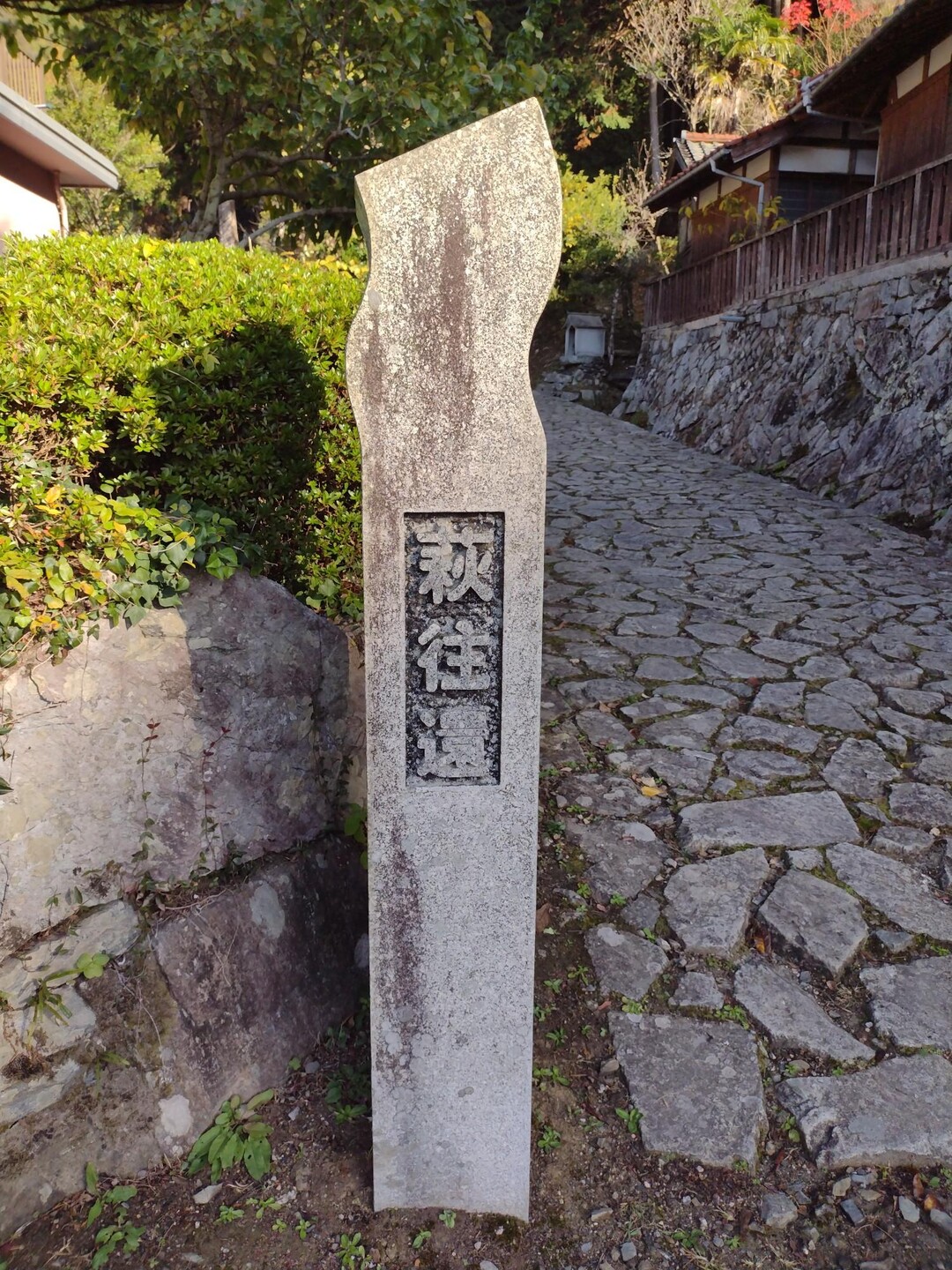 萩往還・東鳳翩山 / taizo-sさんの東鳳翩山・西鳳翩山・鴻ノ峰の活動データ | YAMAP / ヤマップ