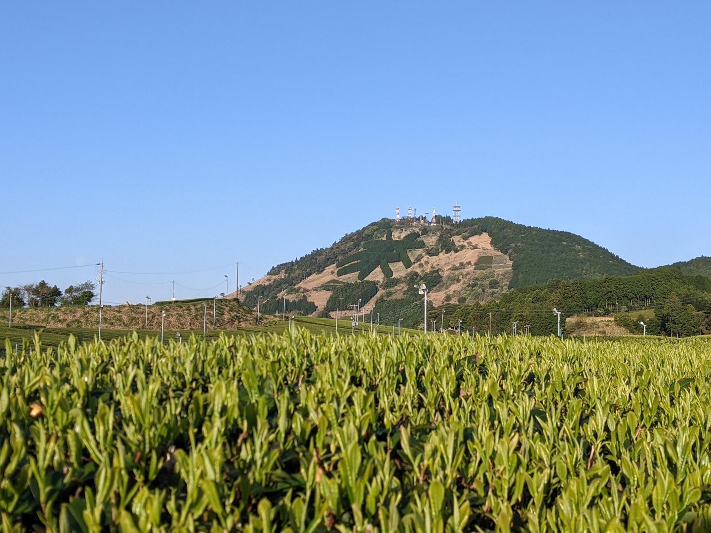 粟ヶ岳21・矢倉山2 / AWA-MANさんの粟ヶ岳の活動データ | YAMAP / ヤマップ