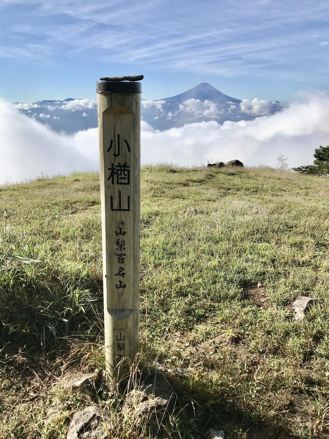 小楢山 / Kazu.Muさんの小楢山・妙見山・乙女高原の活動データ | YAMAP / ヤマップ