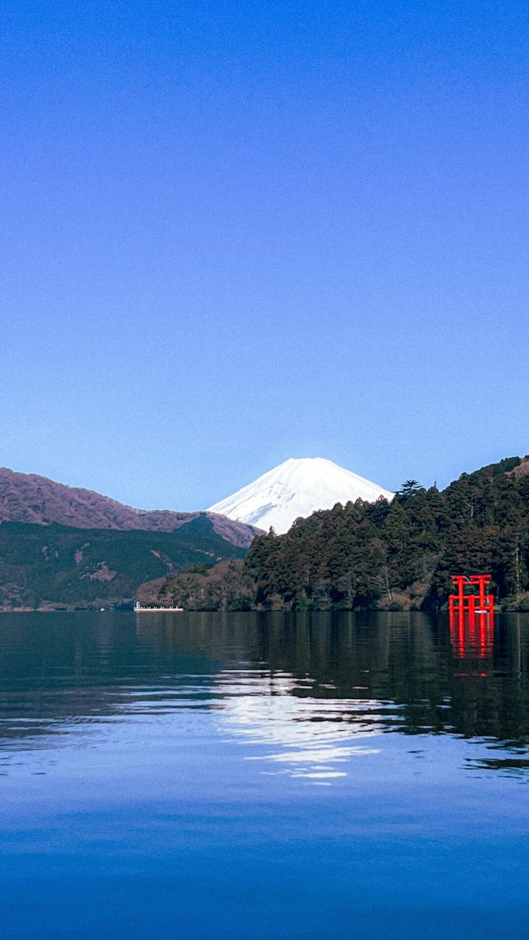 I am in love with Ha... / Camiさんのモーメント | YAMAP / ヤマップ