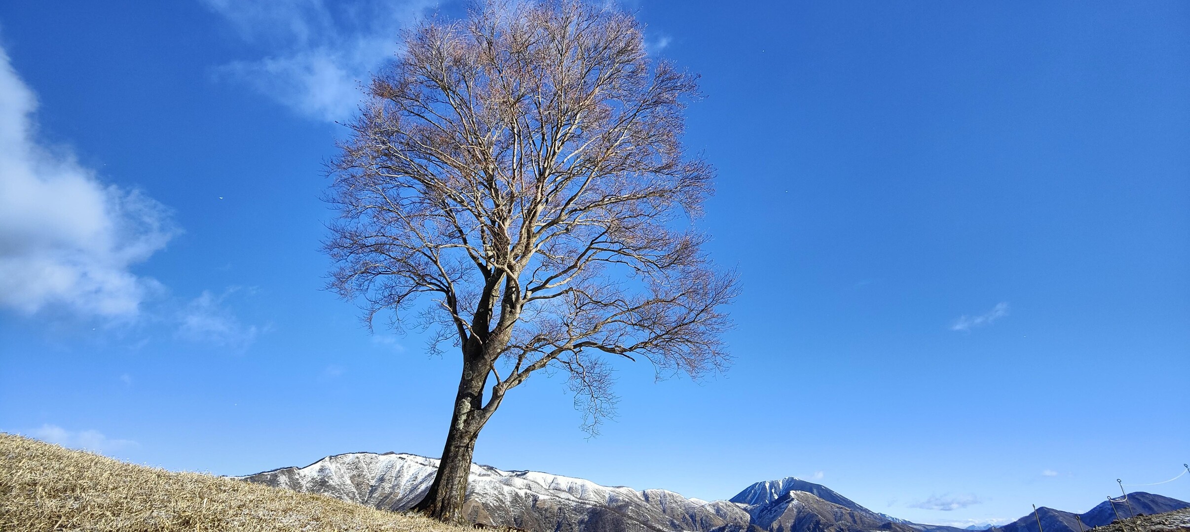 中倉山 & 松木渓谷 / a-kumaさんの皇海山・袈裟丸山・庚申山の活動データ | YAMAP / ヤマップ