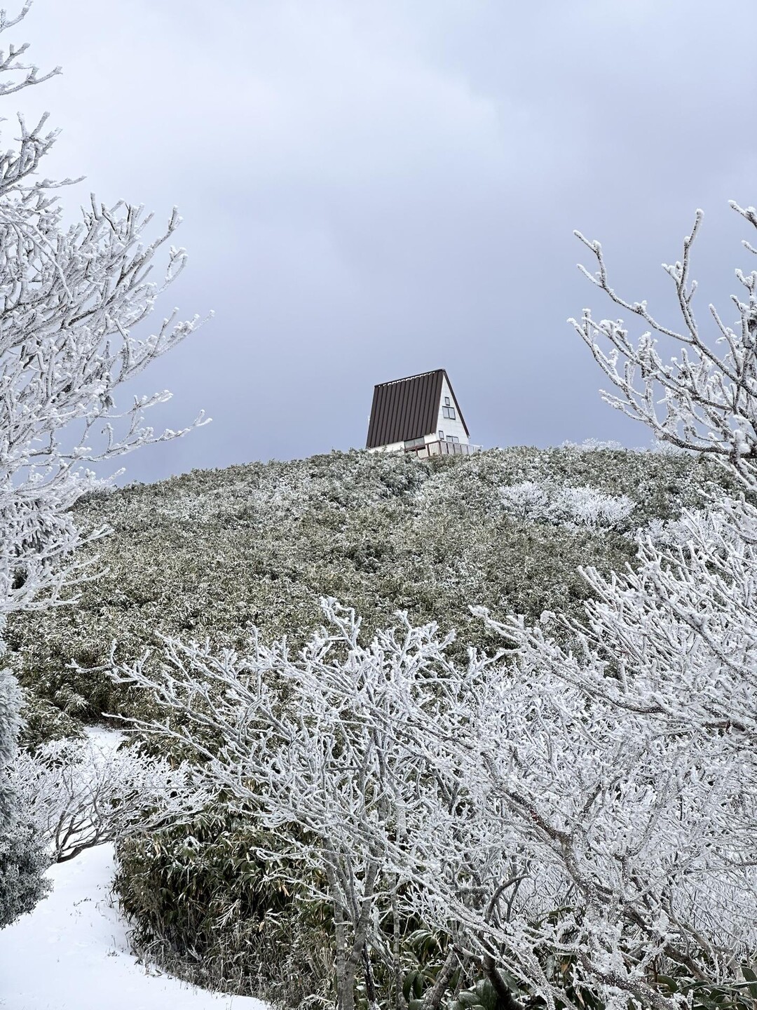 氷ノ山（須賀ノ山） / OkAさんの氷ノ山（須賀ノ山）・鉢伏山・瀞川山の活動データ | YAMAP / ヤマップ
