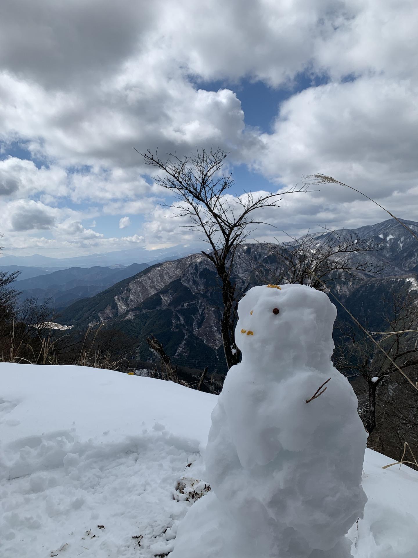 雪だ♪蓑毛スタートの大山⛰️ / ryuさんの大山の活動データ | YAMAP / ヤマップ