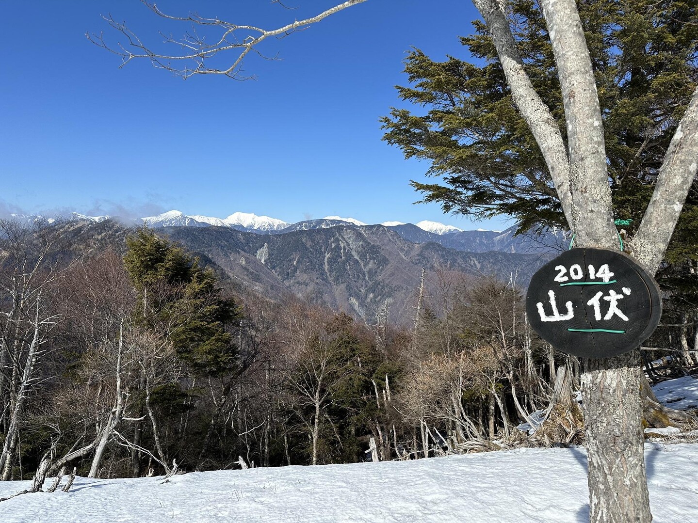 山伏 / nakaekoさんの山伏・八紘嶺・笹山の活動データ | YAMAP / ヤマップ