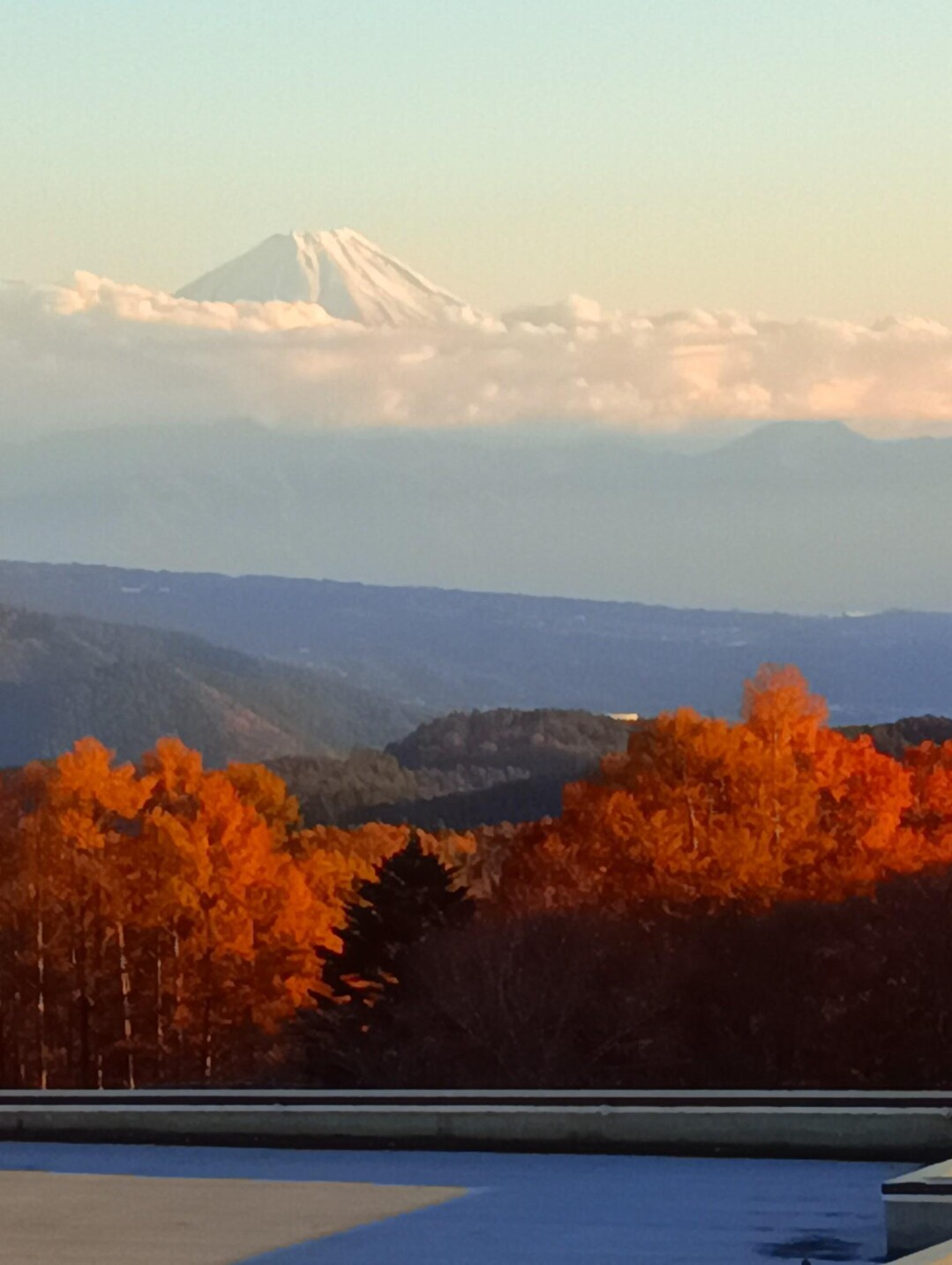 八ヶ岳 富士山 南アルプスも 雪景色 ... / Heroさんのモーメント | YAMAP / ヤマップ