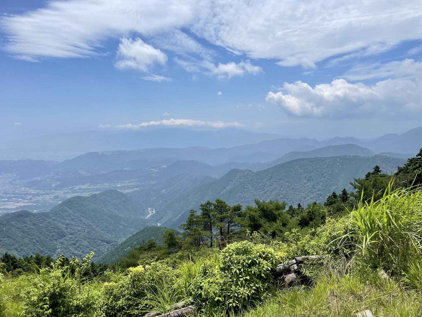 蓑毛発で表尾根と大倉尾根縦走 / Shota.Kさんの塔ノ岳・丹沢山・蛭ヶ岳の活動データ | YAMAP / ヤマップ