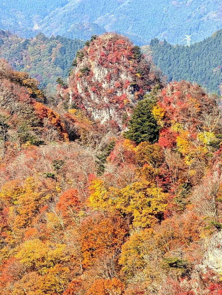 天狗岩ー烏帽子岳。山頂の紅葉はピーク。（暫定） / noraさんの三ツ岩岳・烏帽子岳の活動データ | YAMAP / ヤマップ