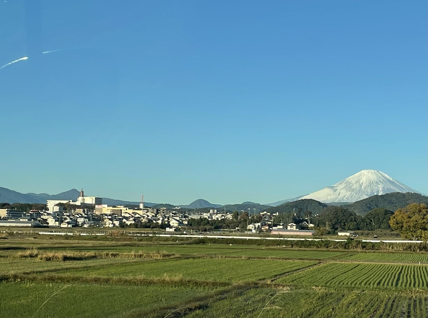 箱根・明神ケ岳-2023-11-14 / mimiパパさんの金時山・明神ヶ岳の活動データ | YAMAP / ヤマップ