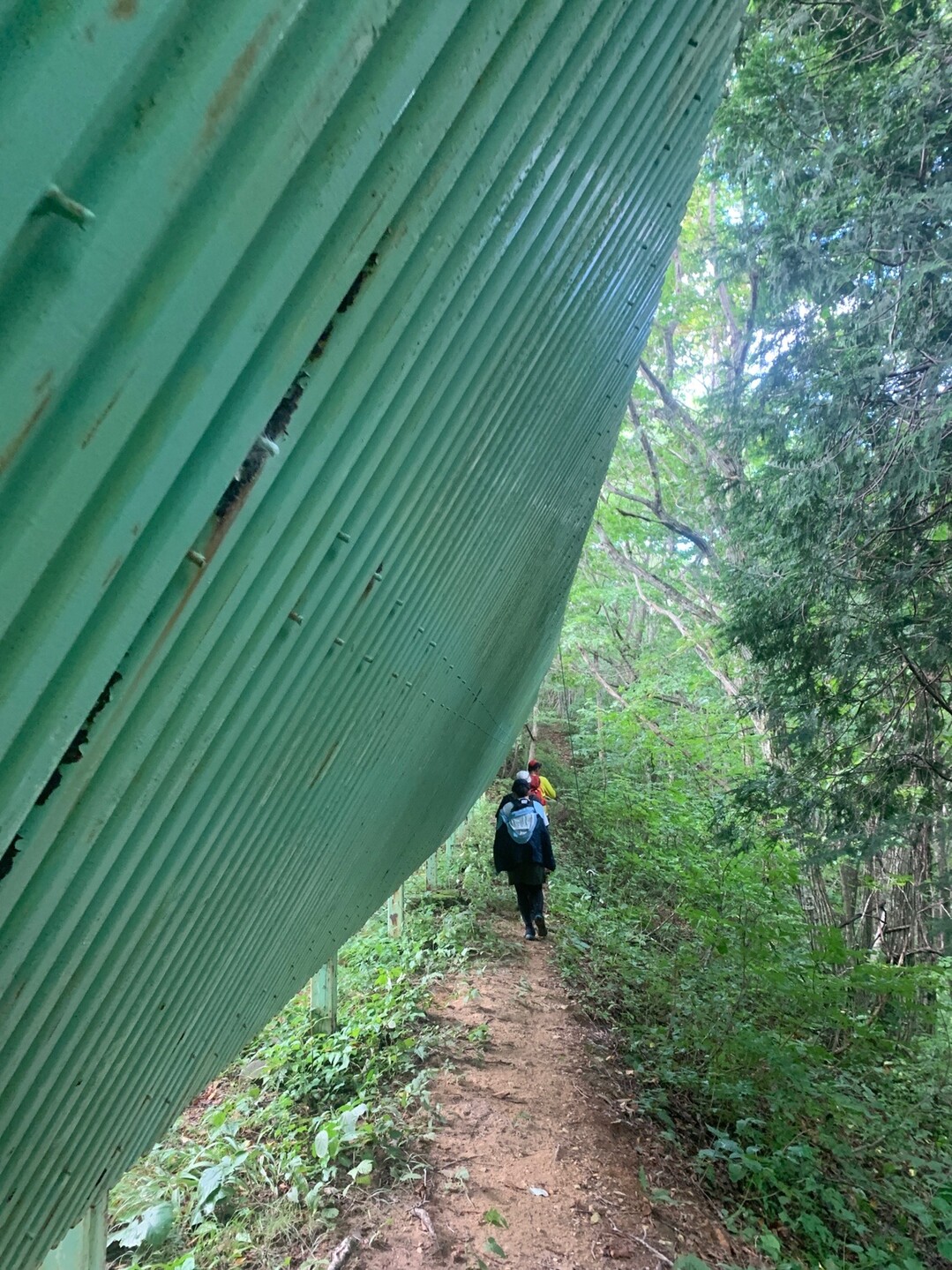 天丸木山 / takakoさんの仙ノ倉山・平標山・大源太山の活動データ | YAMAP / ヤマップ