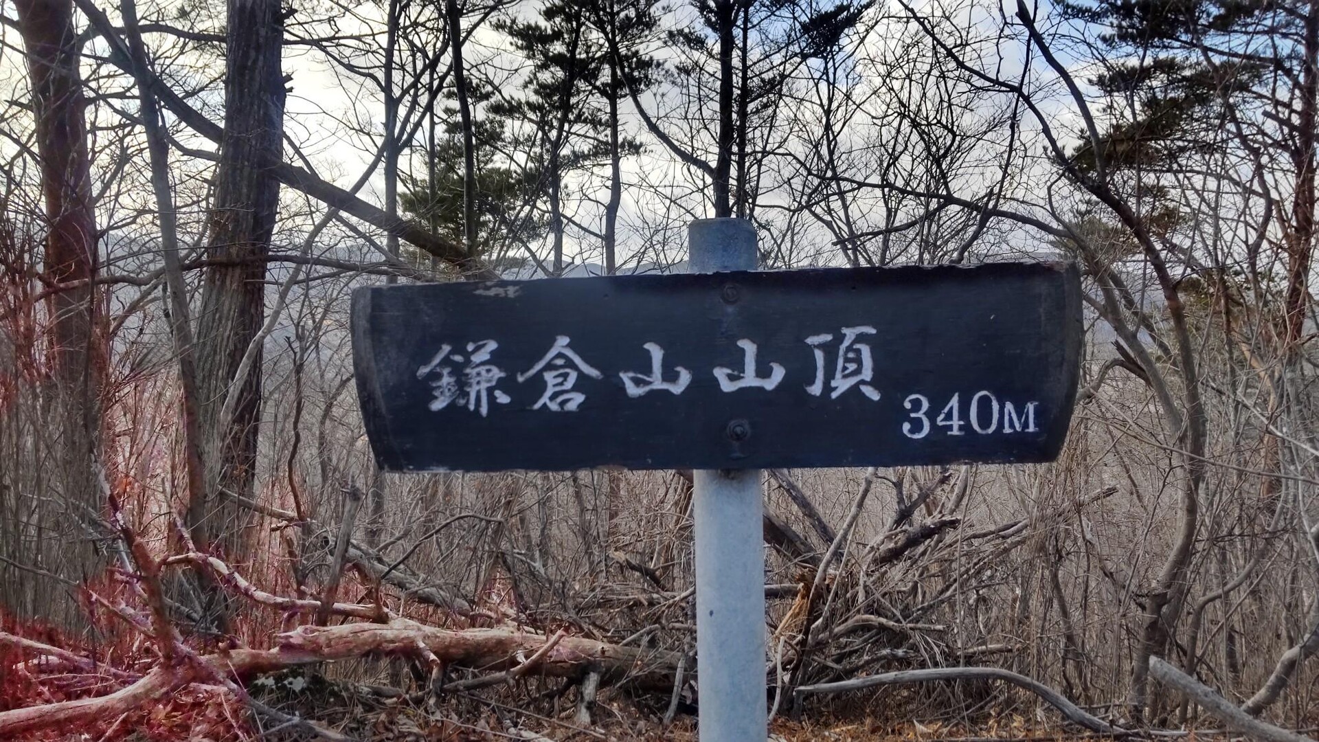 鎌倉山(丸森) / B.Bearさんの鹿狼山の活動データ | YAMAP / ヤマップ