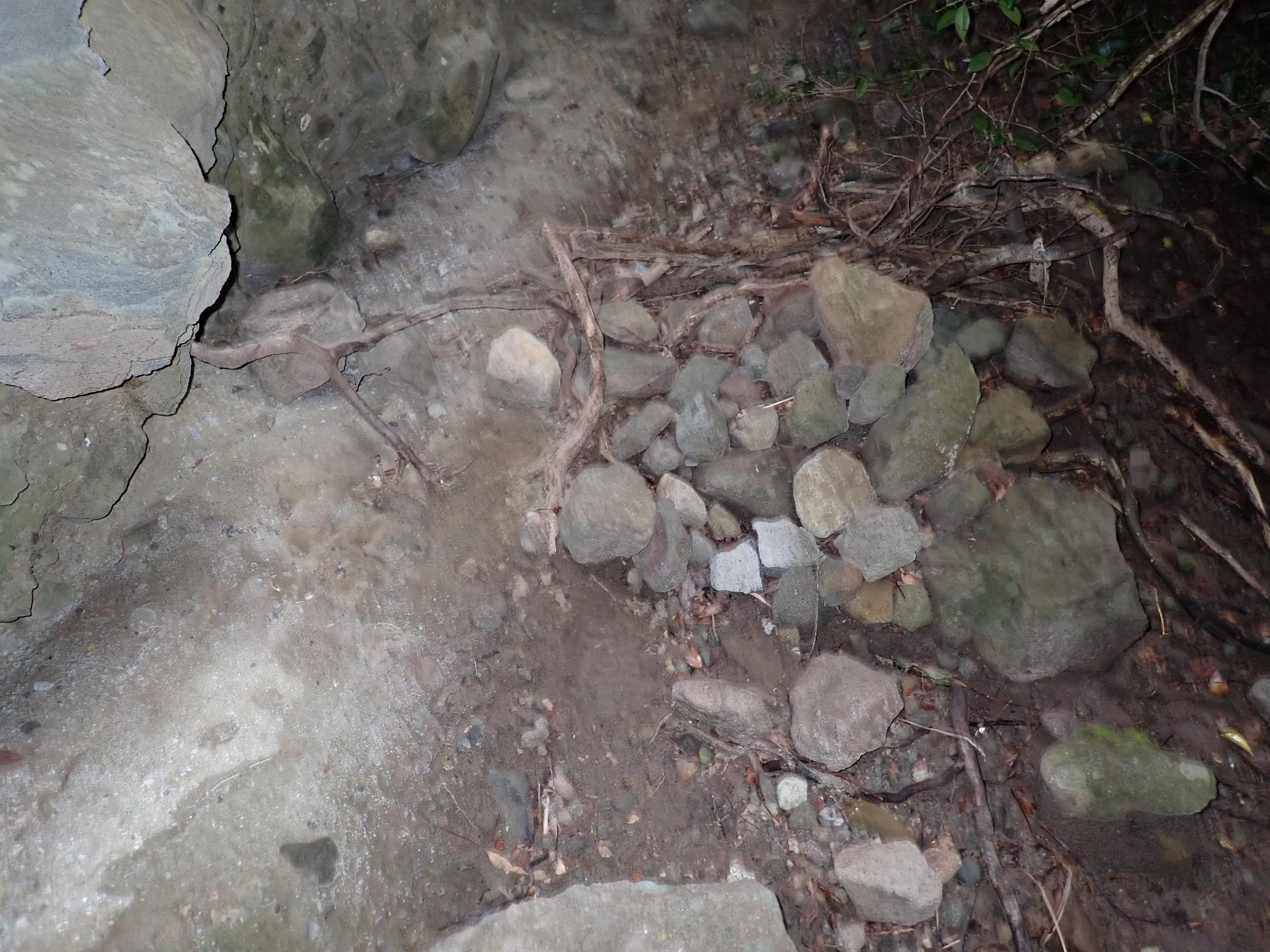 S.nekoさんの投稿したフィールドメモ | YAMAP / ヤマップ