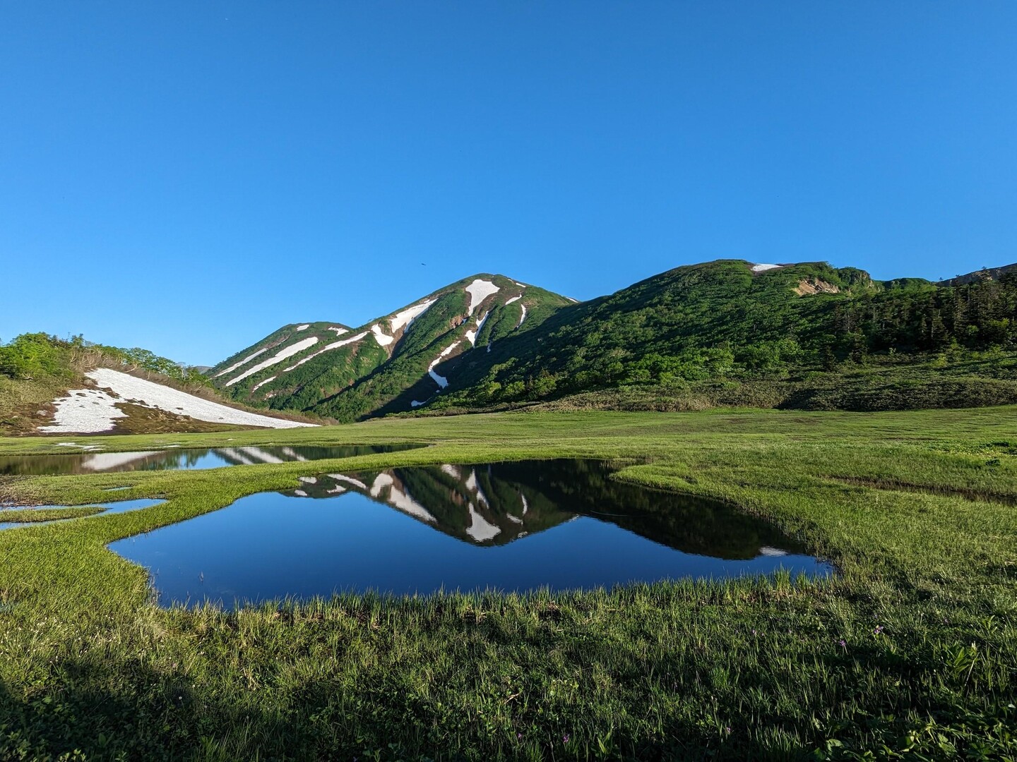 影火打 / KAMAさんの妙高山・火打山の活動データ | YAMAP / ヤマップ