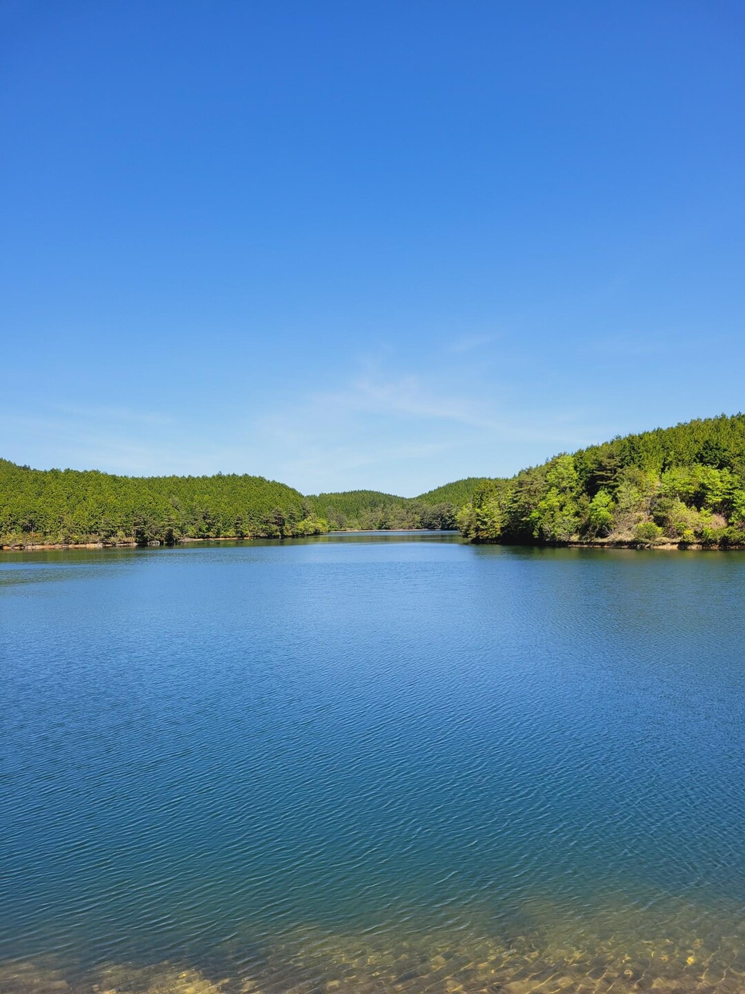 保古の湖-2024-05-11 / yellさんの保古山の活動データ | YAMAP / ヤマップ