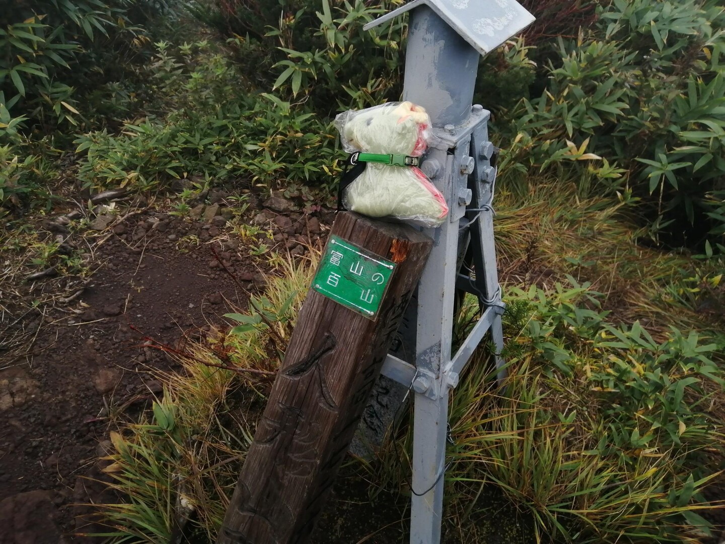 三ヶ辻山・人形山 / yamanobu さんの人形山の活動データ | YAMAP / ヤマップ