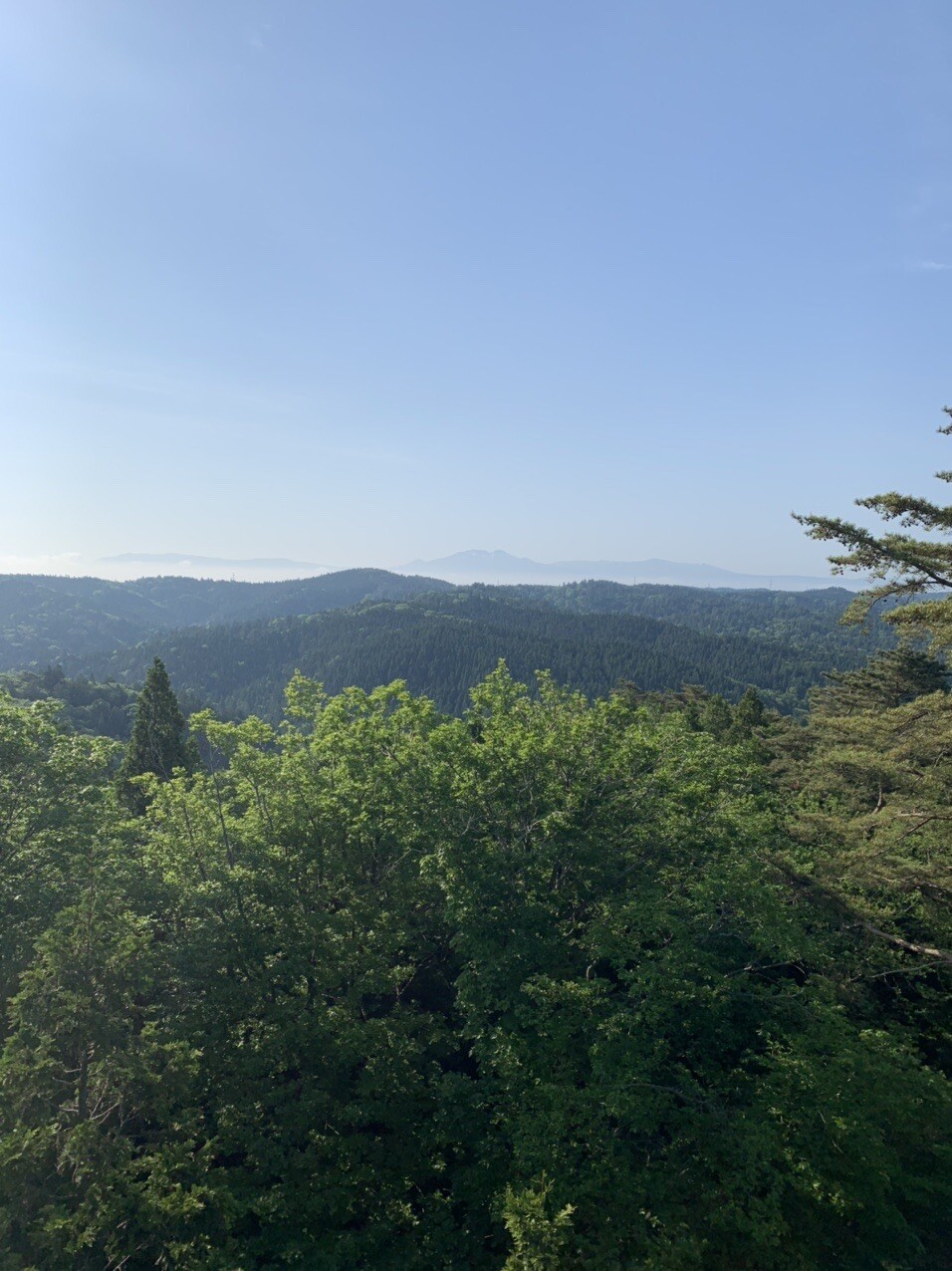 眺望山 R3.6.3 / あおかつさんの青森市の活動データ | YAMAP / ヤマップ