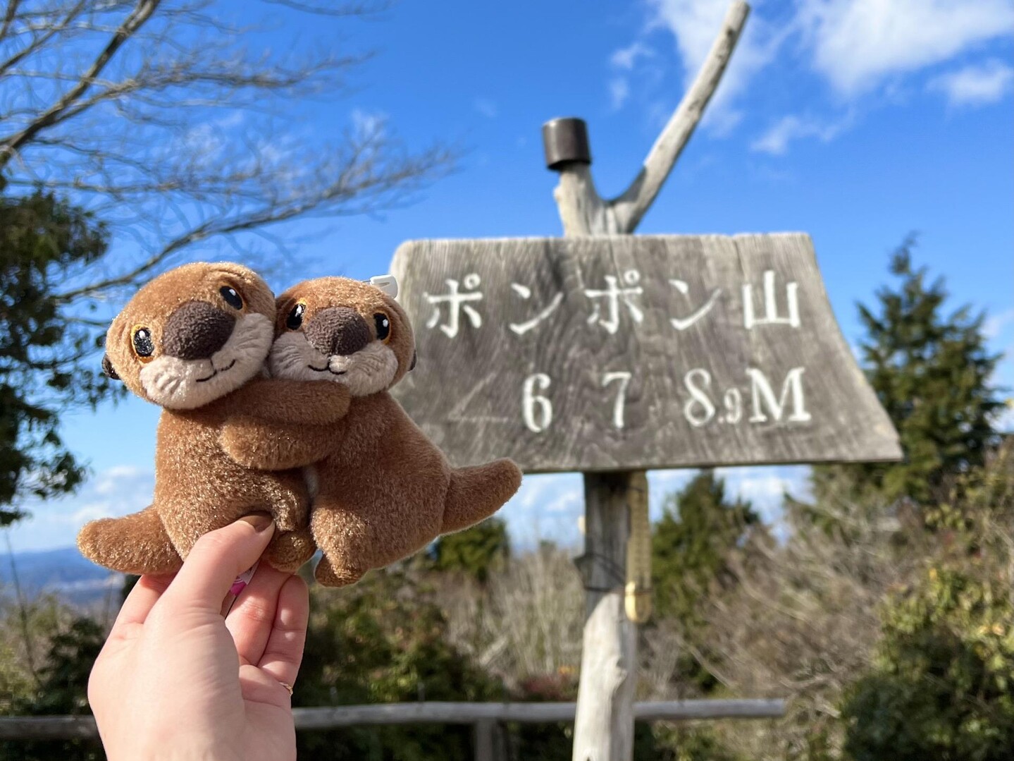 #22【ポンポン山】周回ルート通行止めでピストンPONPON🦦🦦 / ひさんのポンポン山・釈迦岳・小塩山・若山の活動データ | YAMAP / ヤマップ
