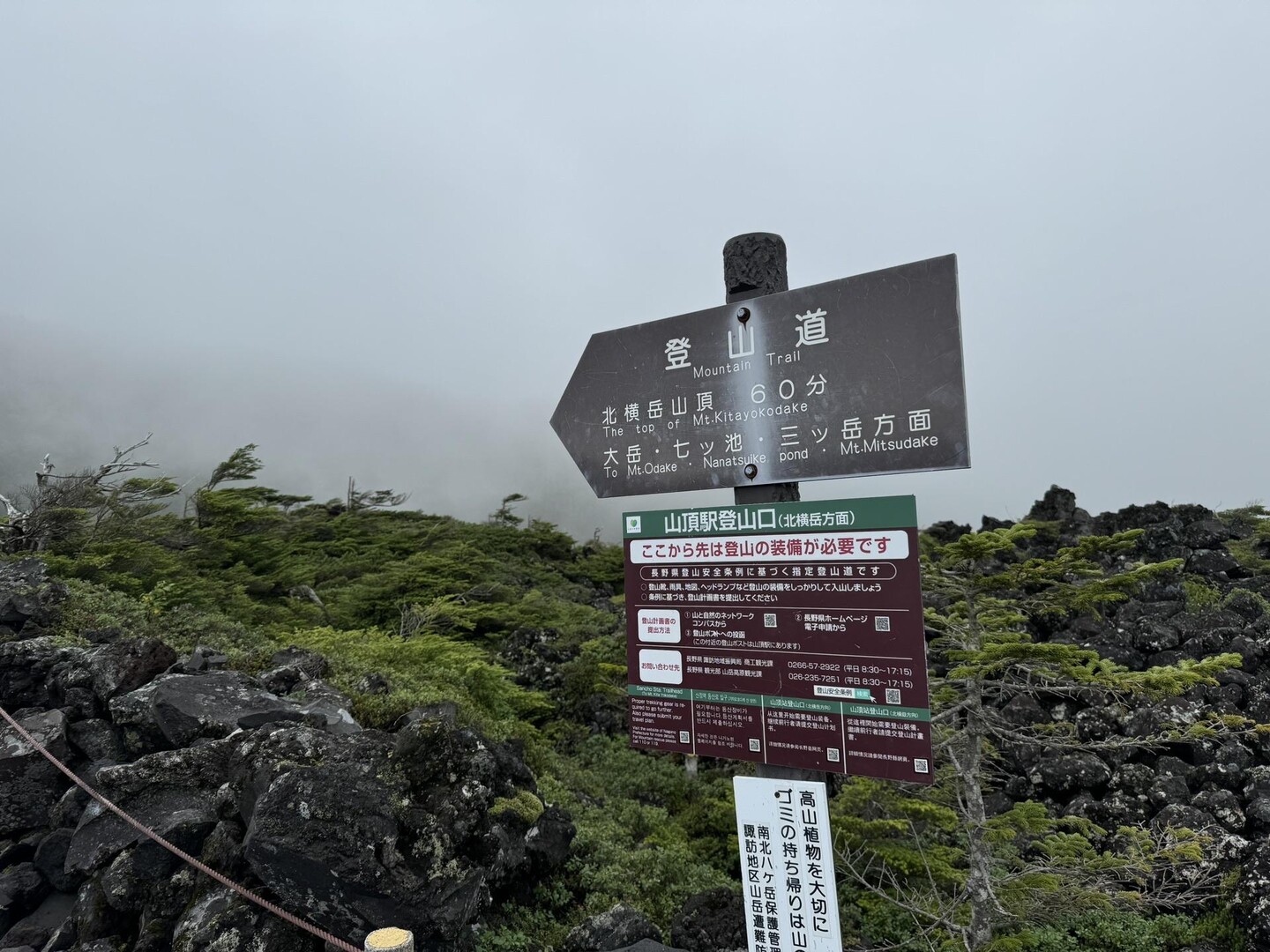 yumiさんの投稿したフィールドメモ | YAMAP / ヤマップ