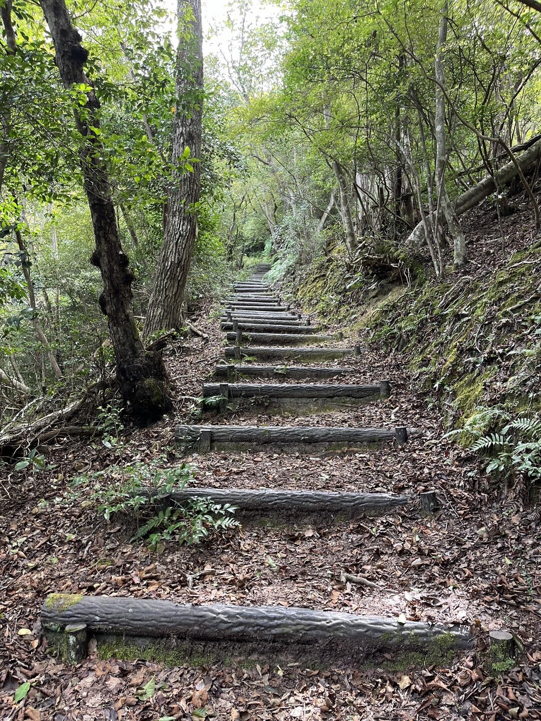 高城山 / masuminさんの高城山の活動データ | YAMAP / ヤマップ