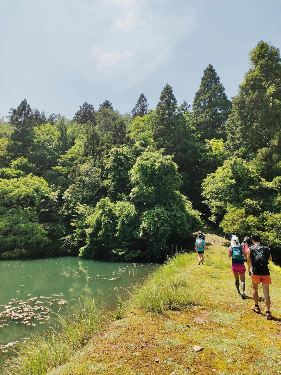 上毛町🙌若岡トレイル🏃🏻‍♂️ / sol..さんの大平山の活動データ | YAMAP / ヤマップ