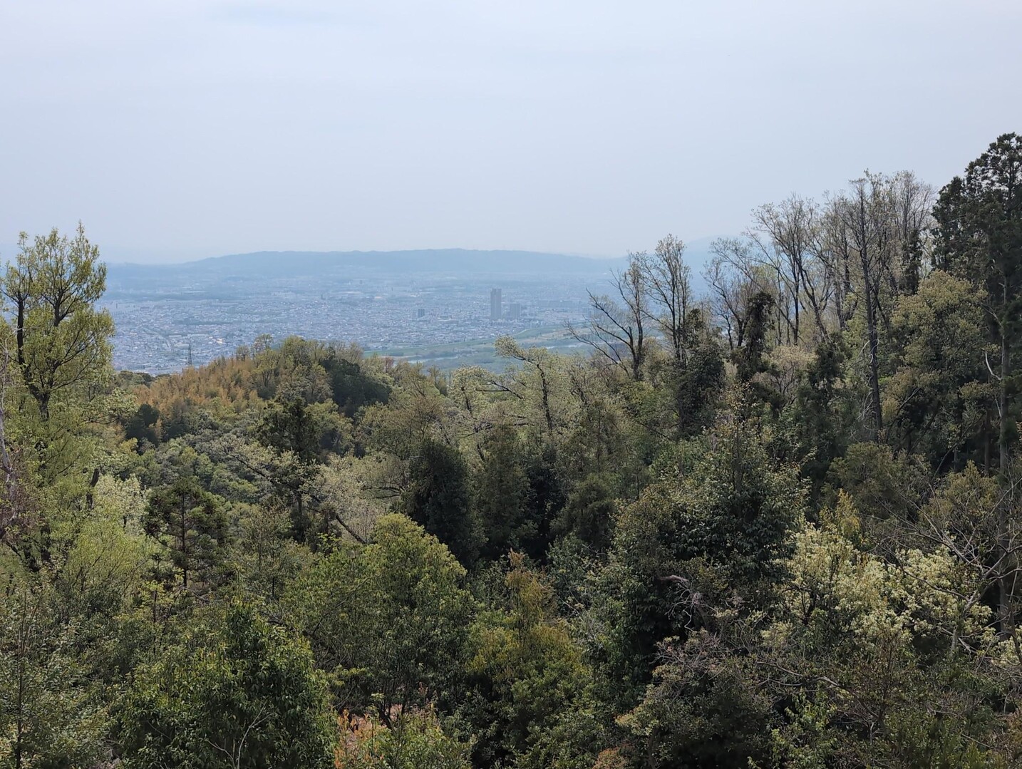 小倉山・十方山・若山 / u-minさんのポンポン山・釈迦岳・小塩山・若山の活動データ | YAMAP / ヤマップ