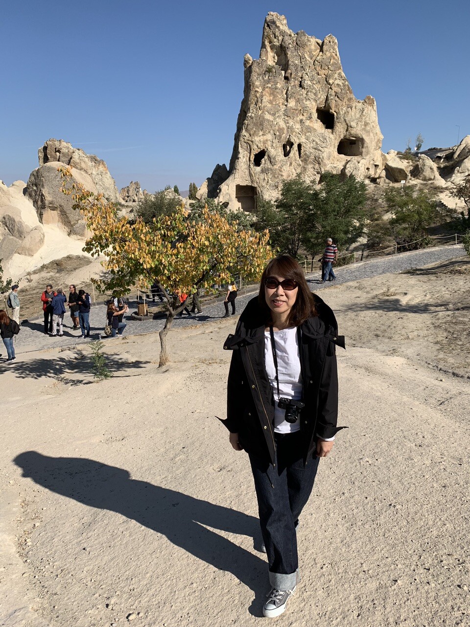 cocoのページ | YAMAP / ヤマップ