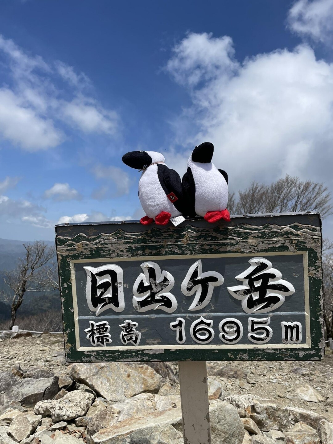 大杉谷渓谷 / synさんの大台ヶ原山・日出ヶ岳・大杉谷の活動データ | YAMAP / ヤマップ