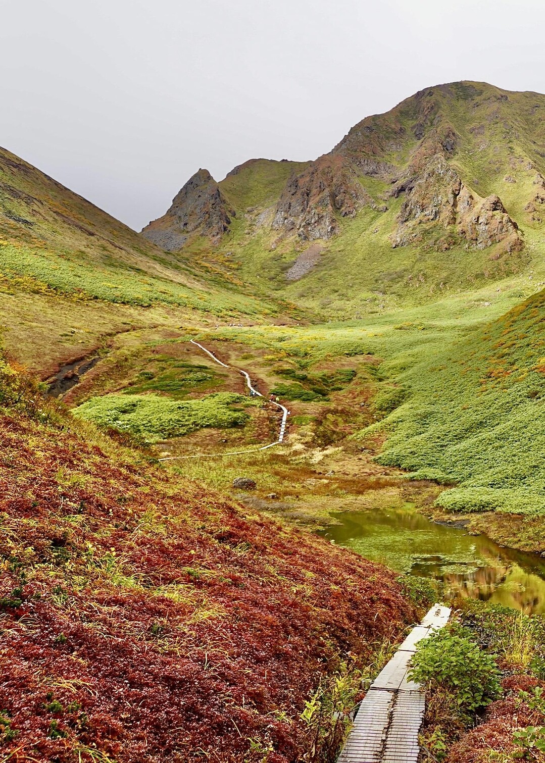 ムーミン谷 〜青森DAY2〜 / mikiさんの秋田駒ヶ岳・男女岳・貝吹岳の活動データ | YAMAP / ヤマップ