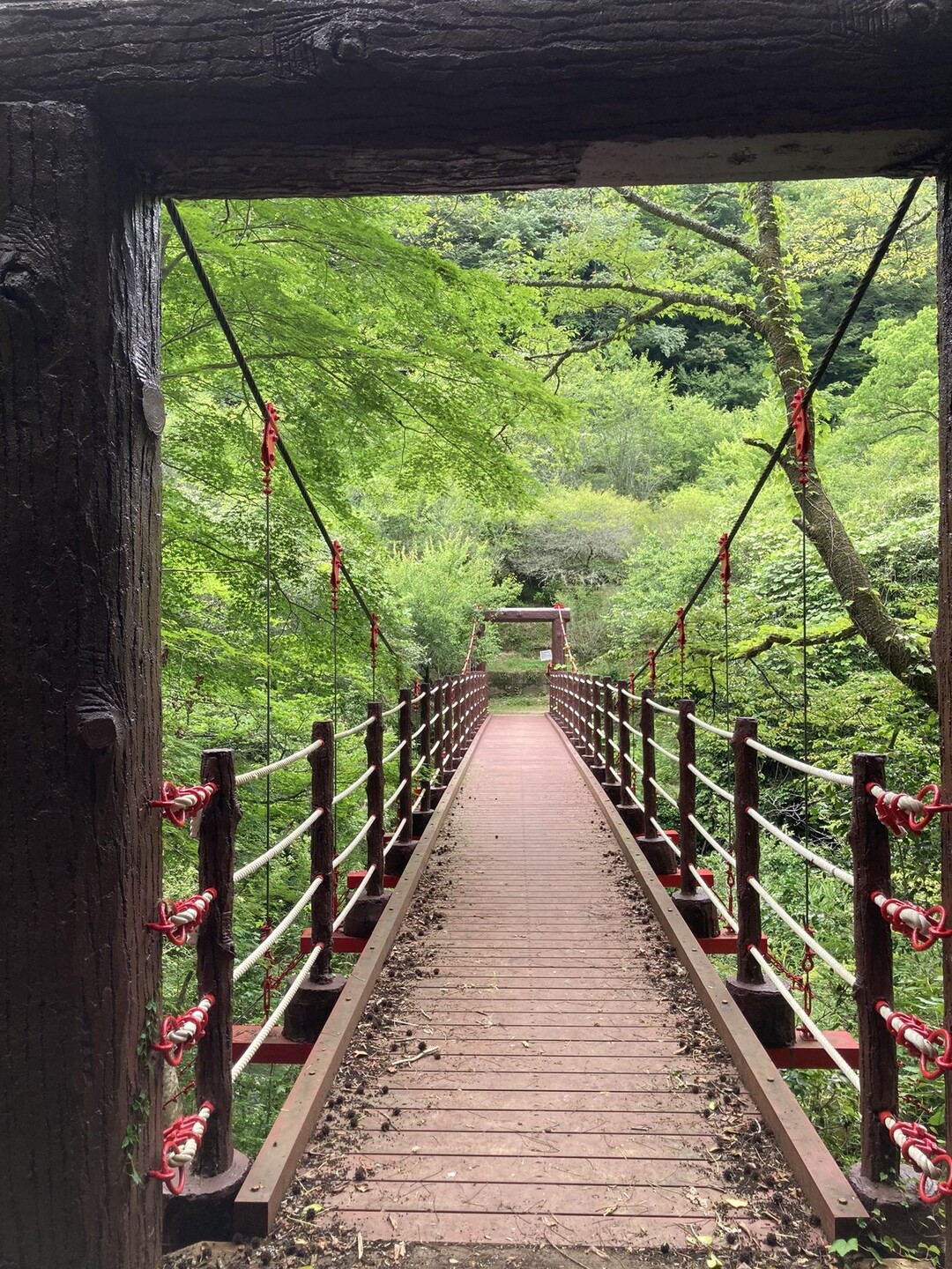 王滝渓谷 梟ヶ城址展望台 / J Smileさんの六所山・炮烙山の活動データ | YAMAP / ヤマップ