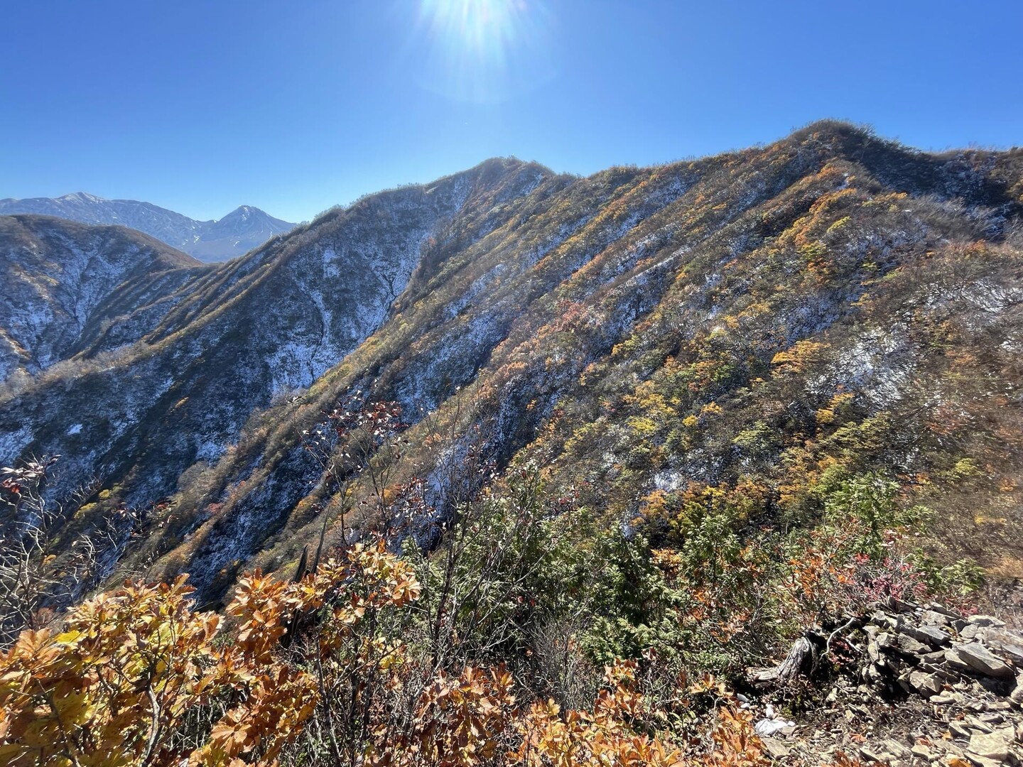 金冠・大沢岳・鉾ヶ岳 / Yuminaさんの鉾ヶ岳・権現岳の活動データ | YAMAP / ヤマップ