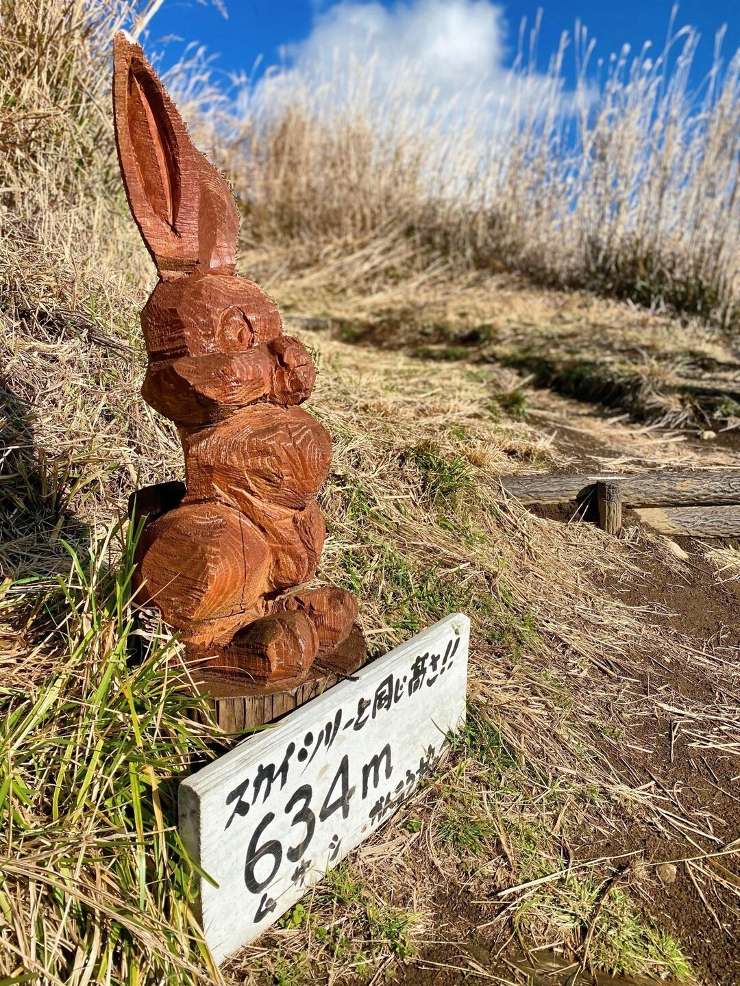 大野山⛰谷峨駅～山北駅🚃縦走ゆる歩き♡ / Nmamaさんの高松山・大野山の活動データ | YAMAP / ヤマップ